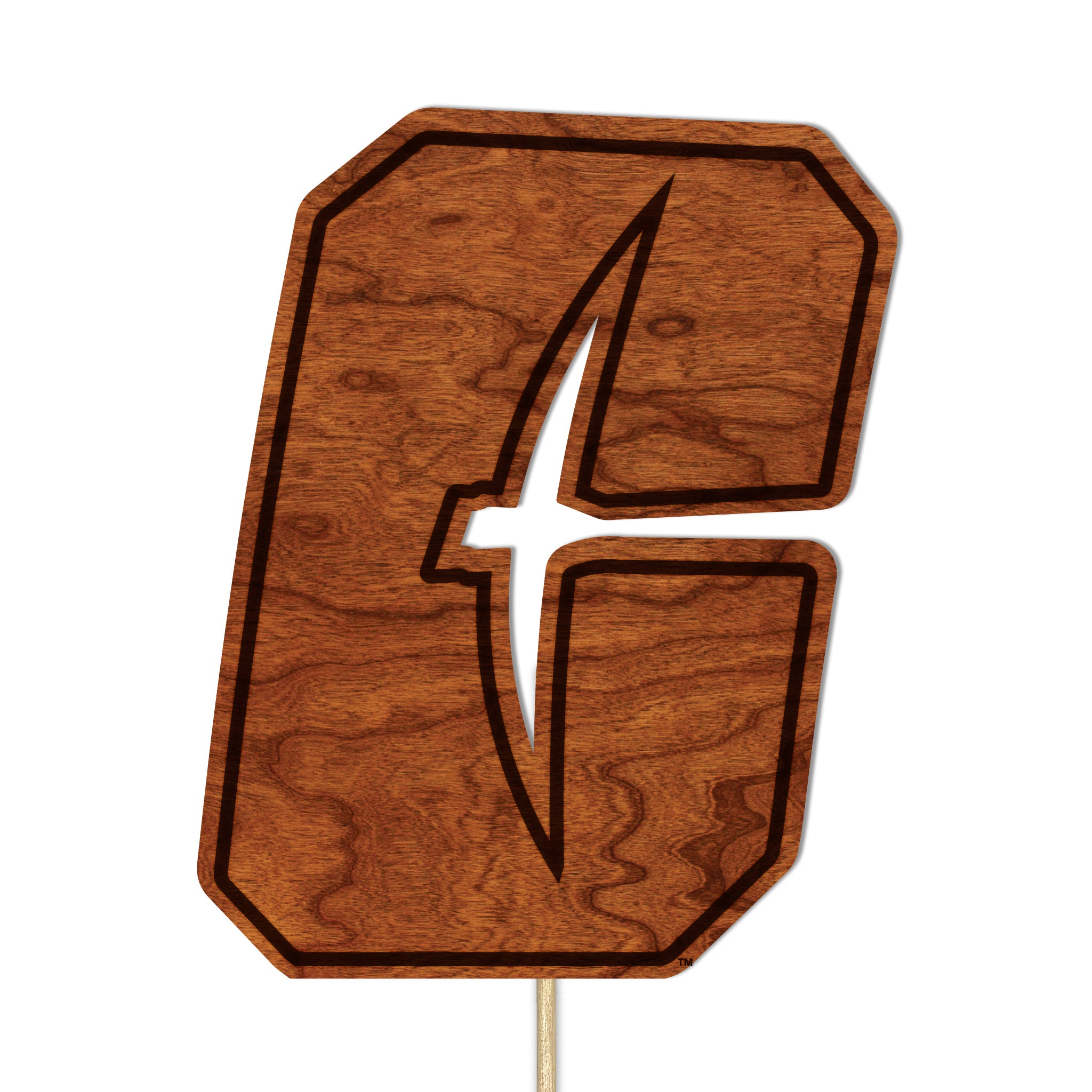 UNC Charlotte Cherry Cake Topper – LazerEdge